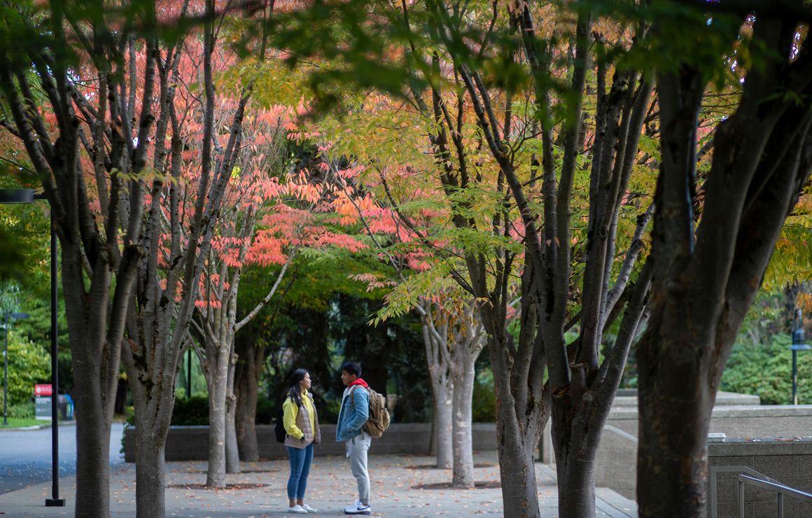 How to Apply | Graduate Admissions | Admissions & Aid | Seattle University
