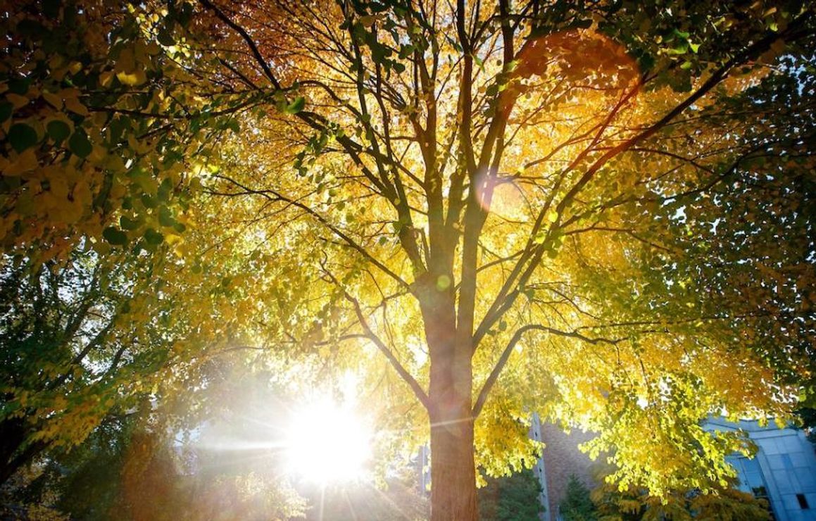 A Lasting Legacy | 2024 | News & Stories | Seattle University