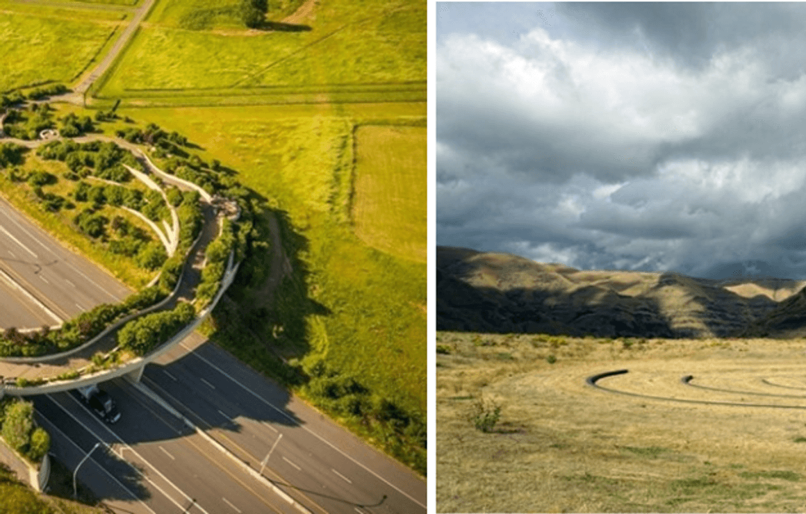 Art, Art History, Design and Photography majors visit Maya Lin’s ...