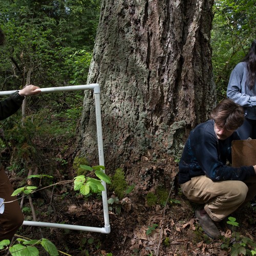 Department of Civil and Environmental Engineering | Academic ...