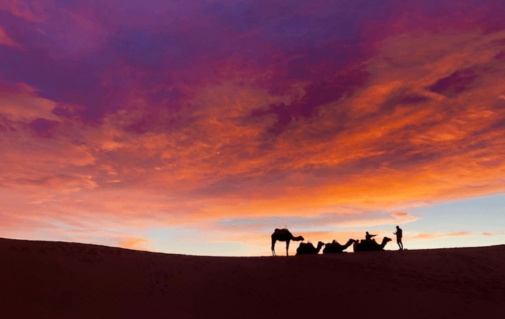 Refugees, Health, and Humanitarian Action | Programs | Explore Programs ...