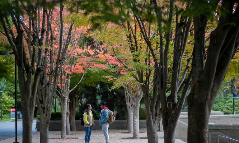 How to Apply | Graduate Admissions | Admissions & Aid | Seattle University