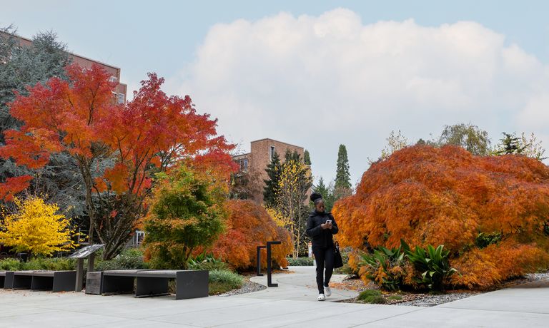 Deadlines | How to Apply | Transfer Admissions | Undergraduate ...