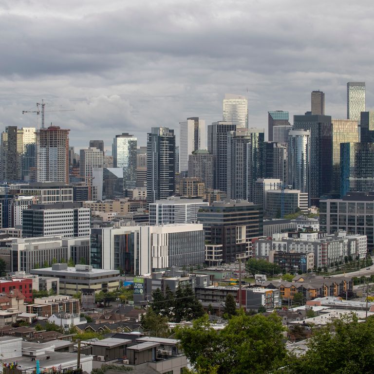 Diagnostic Ultrasound, BS | All Programs | Academics | Seattle University