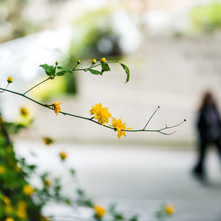 Health & Wellness | Life at Seattle U | Seattle University