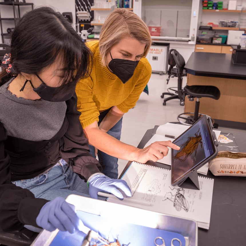 Marine & Conservation Biology, BS | All Programs | Academics | Seattle ...