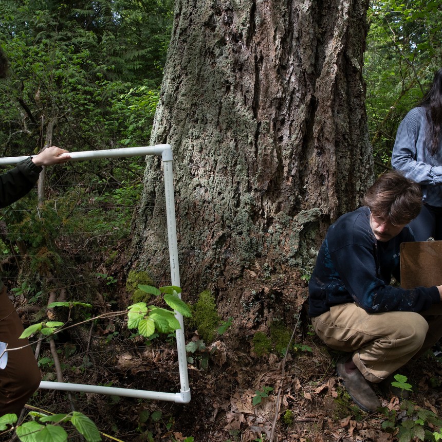 Department of Civil and Environmental Engineering | Academic ...